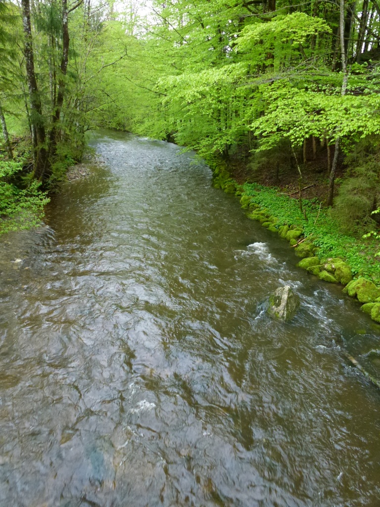 Systemic Constellations